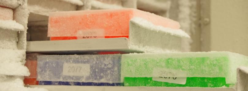 UNSW Biospecimen Services | UNSW Mark Wainwright Analytical Centre