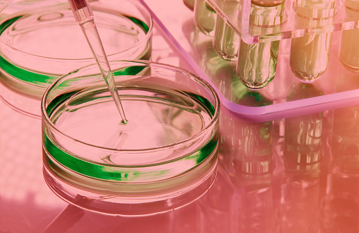 PVCRI | UNSW Mark Wainwright Analytical Centre