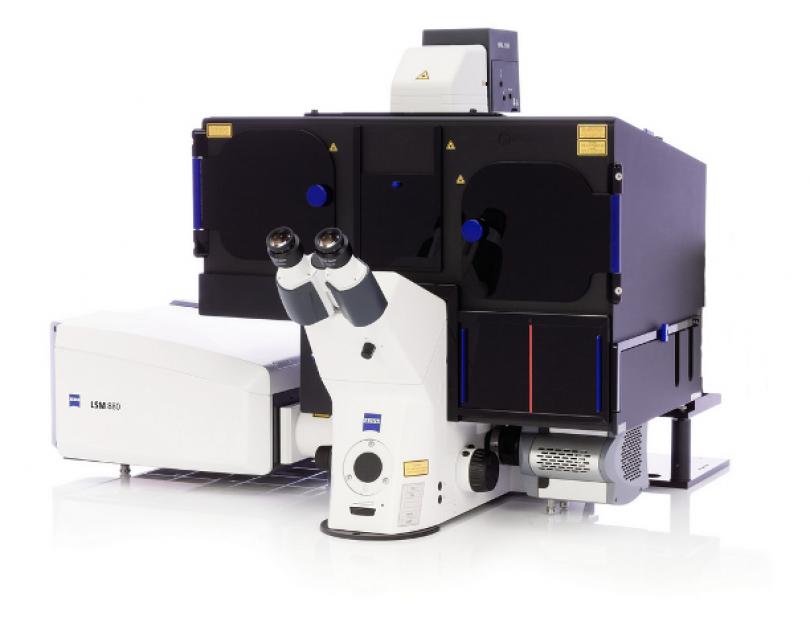 Zeiss LSM 880 | UNSW Mark Wainwright Analytical Centre